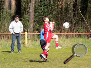 SG Bad Liebenwerda/Möglenz - VfB Hohenleipisch 1912 1:3 (0:1)
