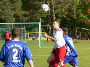 FV Blau Weiß 90 Briesen - VfB Hohenleipisch 1912 1:1 (0:1)